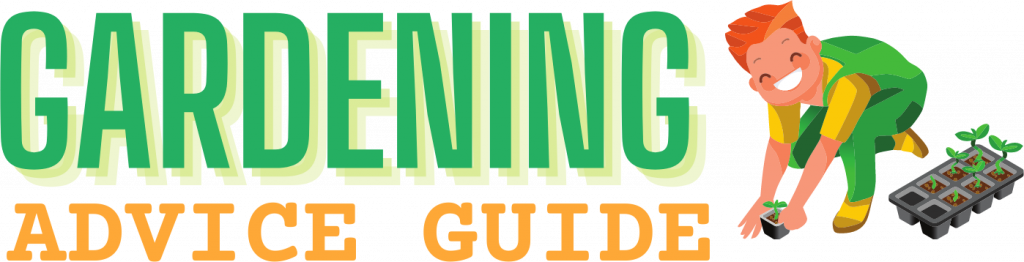 Gardening Advice Guide – Helping You Learn to Grow